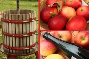 Cider Making Equipment and Gift Ideas for Pros and Newbies