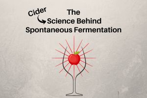 372: The Science Behind Spontaneous Fermentation - Cider Chat